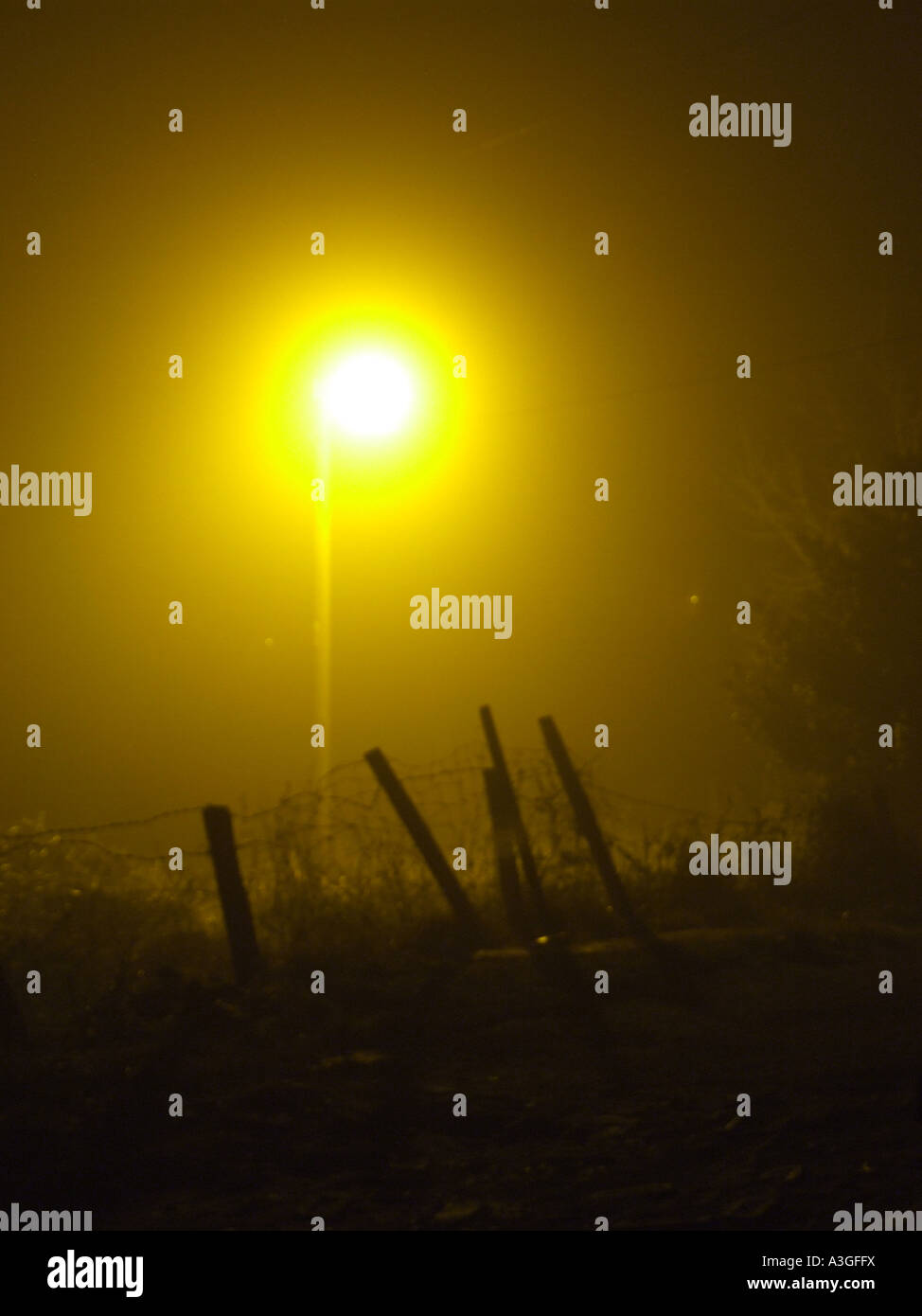 field scene covered with fog at night Stock Photo - Alamy