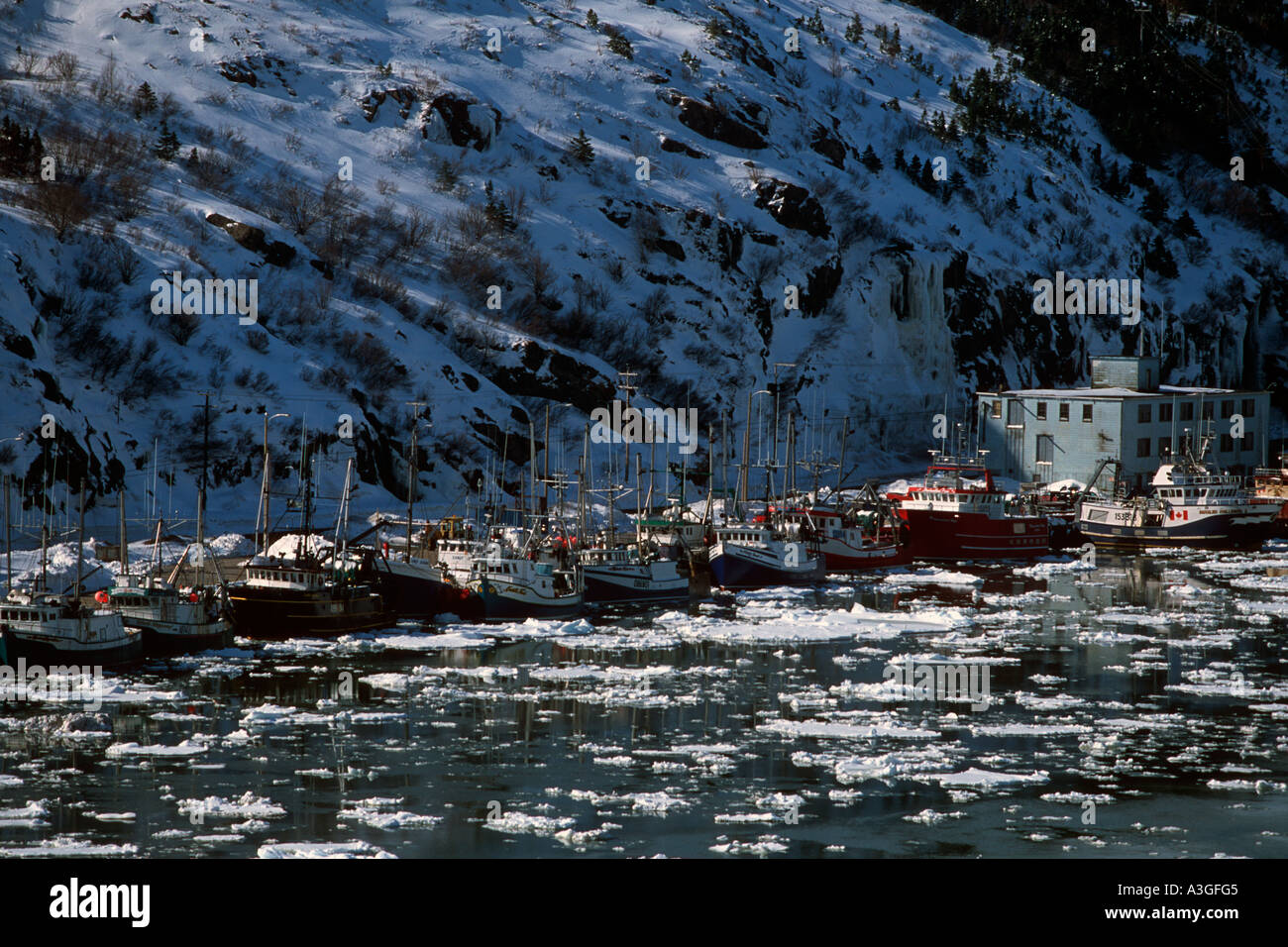 Fishing boats moored in St John s harbour surrounded by sea ice ...