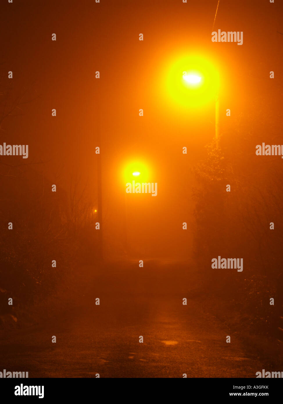 empty street covered with fog at night Stock Photo - Alamy