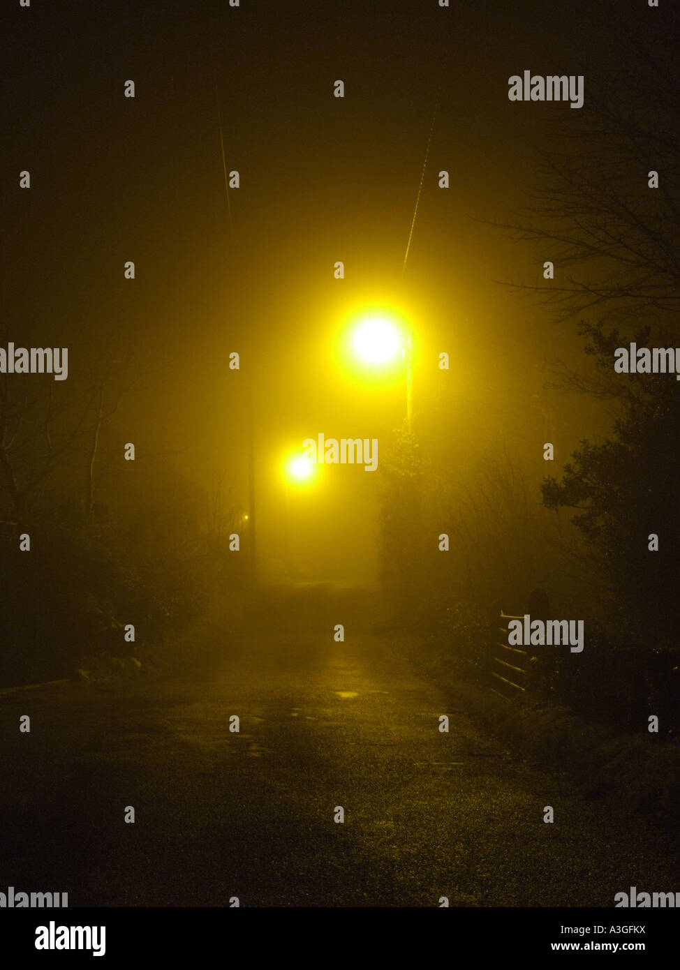 empty street covered with fog at night Stock Photo - Alamy