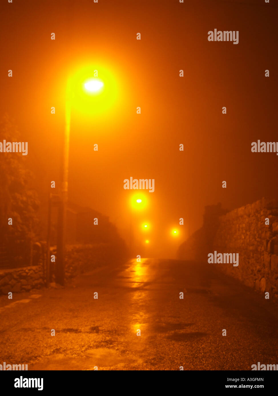 empty street covered with fog at night Stock Photo - Alamy