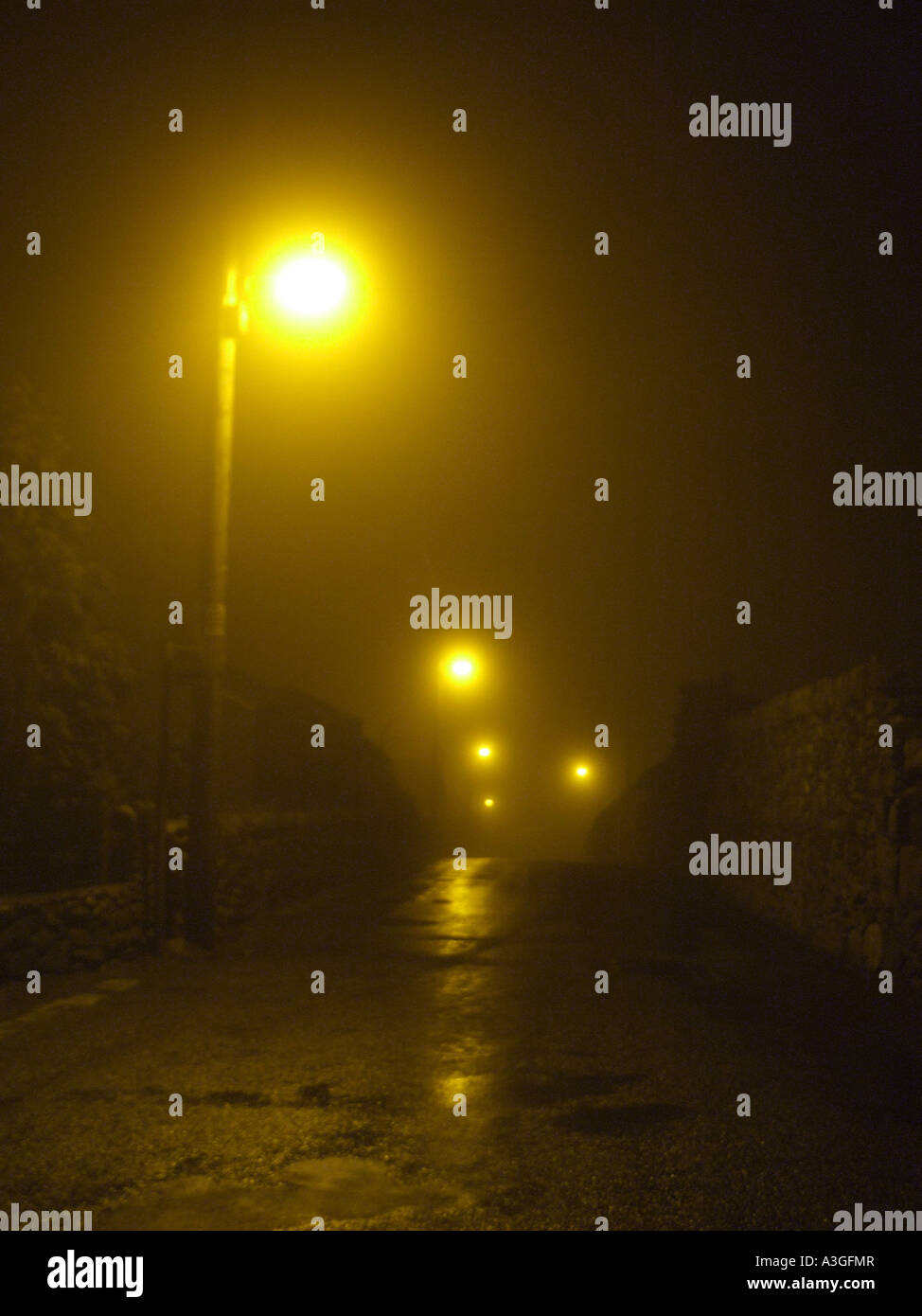 empty street covered with fog at night Stock Photo - Alamy