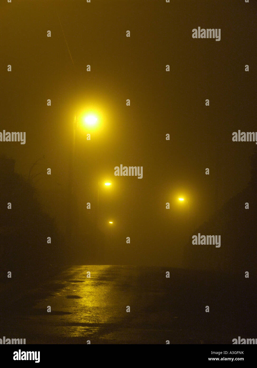 empty street covered with fog at night Stock Photo - Alamy