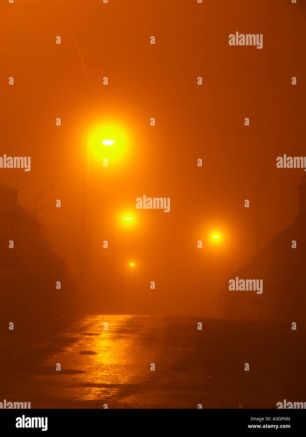 empty street covered with fog at night Stock Photo - Alamy