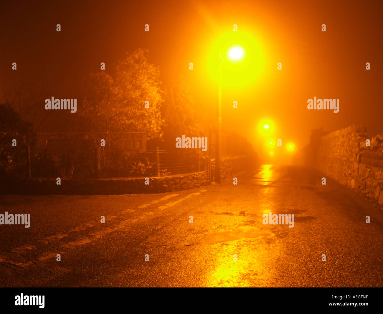 empty street covered with fog at night Stock Photo - Alamy