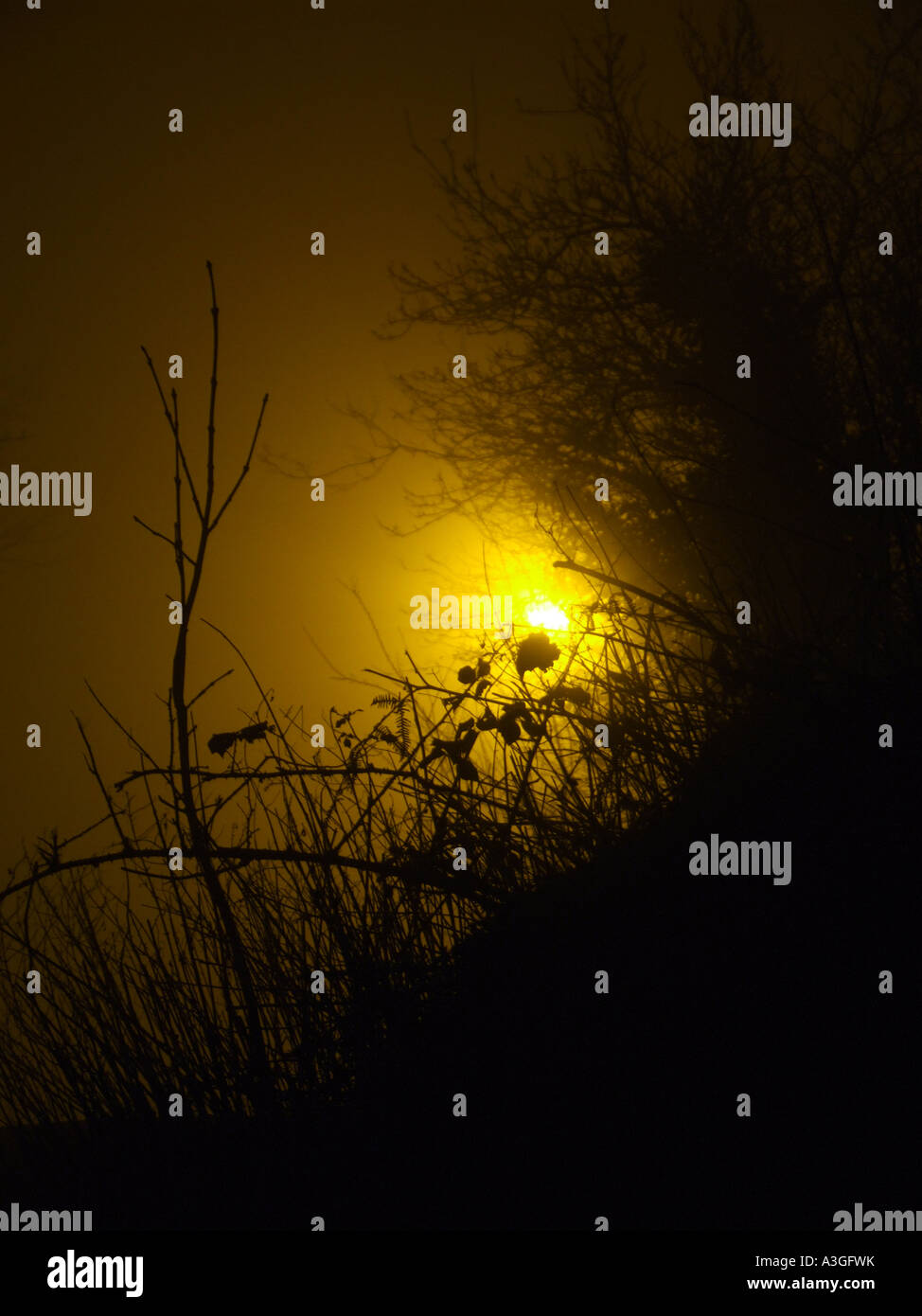 landscape covered in fog at night Stock Photo - Alamy