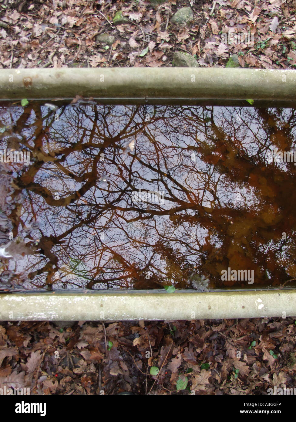 animal trough in field Stock Photo - Alamy