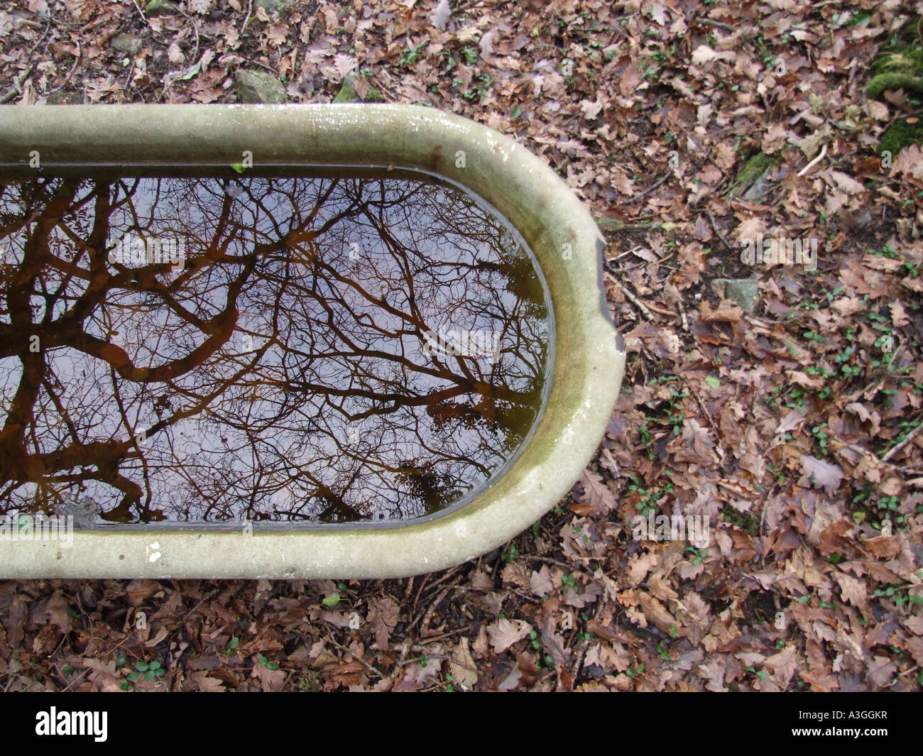 animal trough in field Stock Photo - Alamy