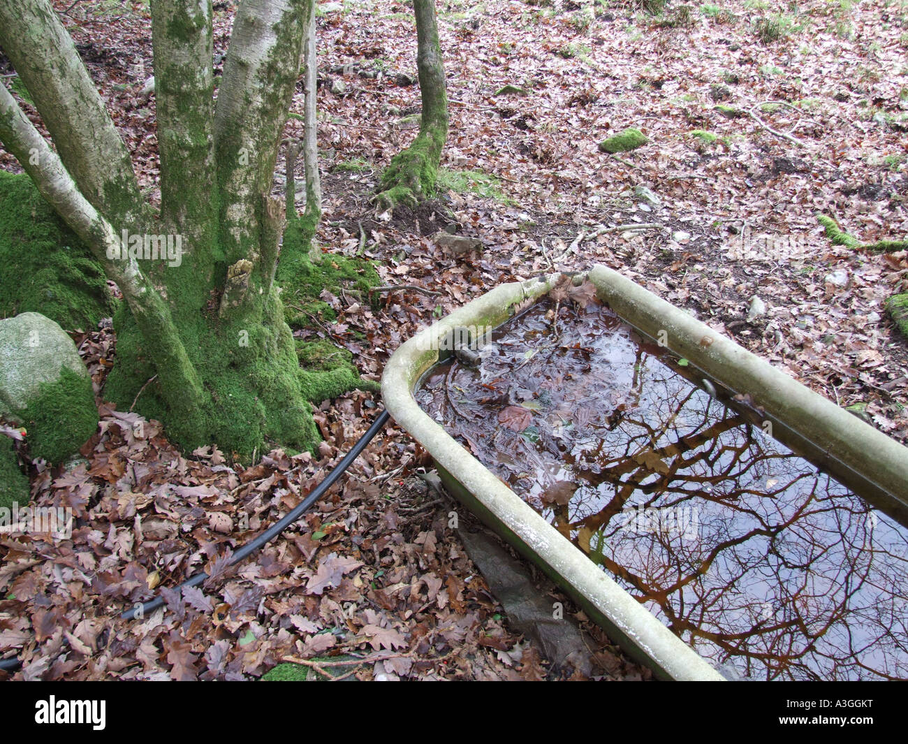 animal trough in field Stock Photo - Alamy
