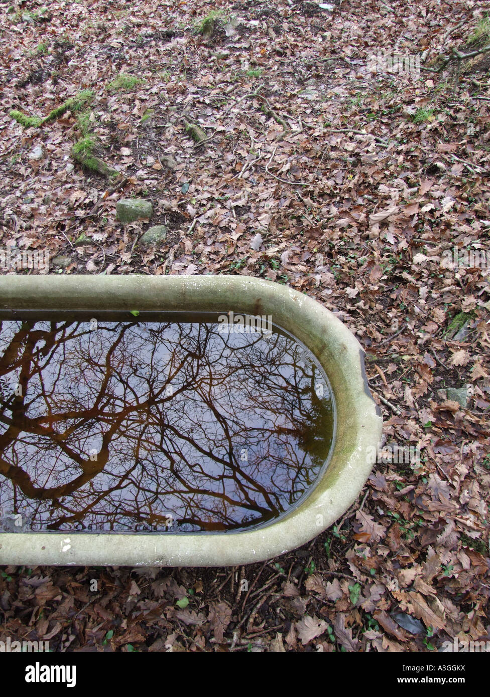 animal trough in field Stock Photo - Alamy