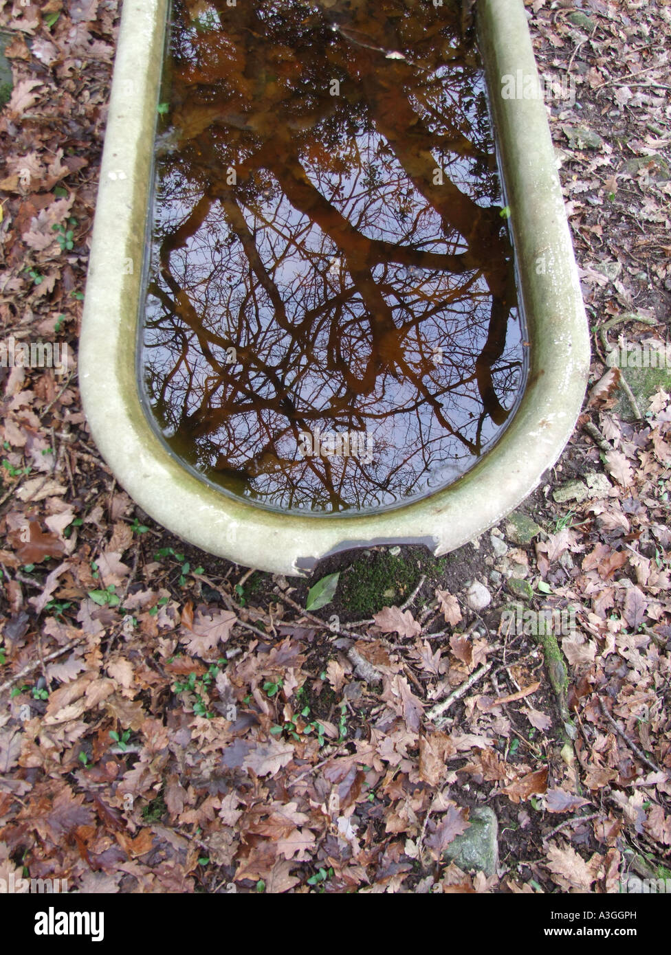 animal trough in field Stock Photo - Alamy