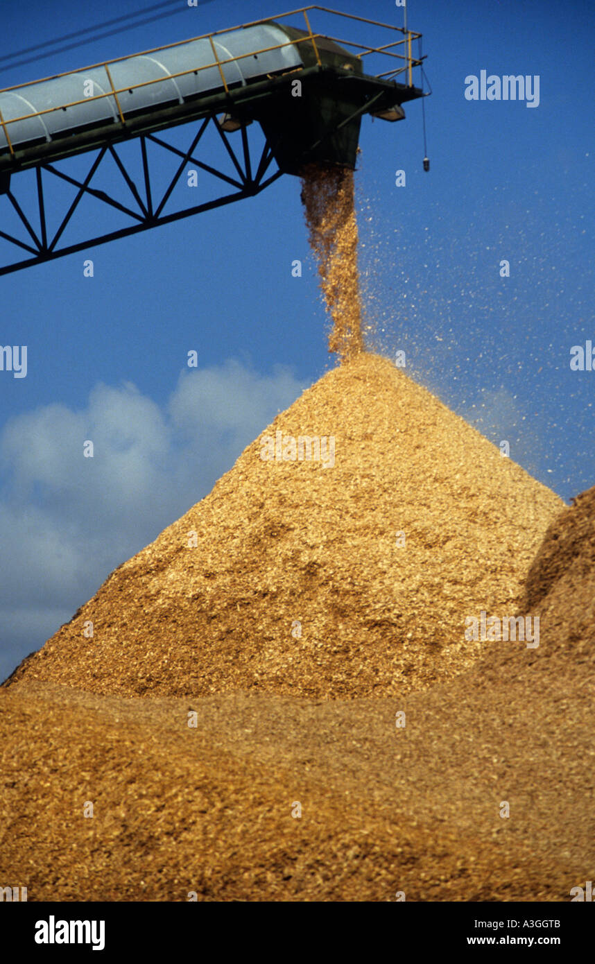 Wood chipping on an industrial scale Oregon USA Stock Photo - Alamy