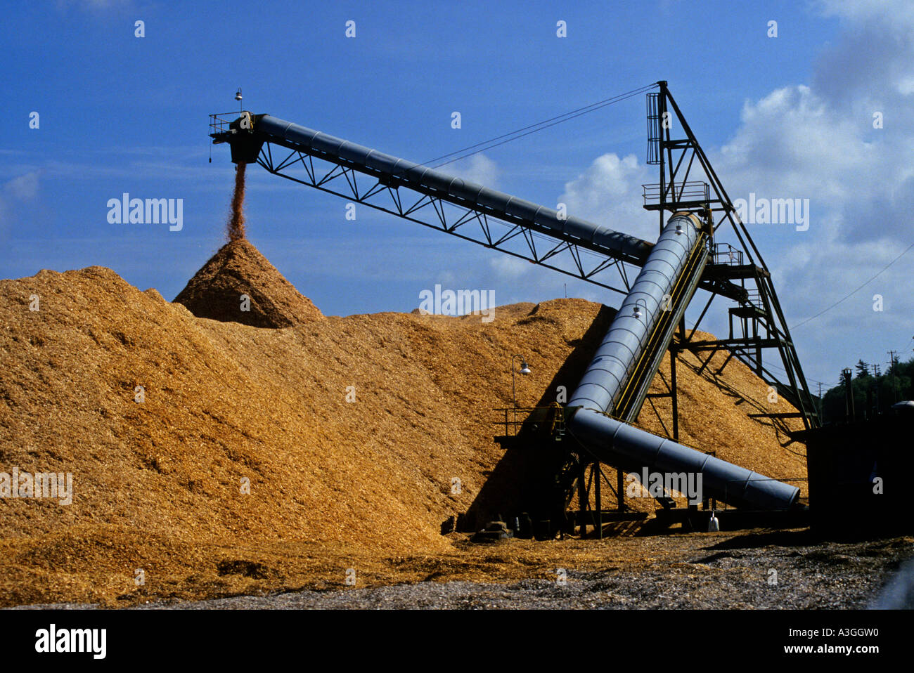 Woodchip or wood chipping hi-res stock photography and images - Alamy