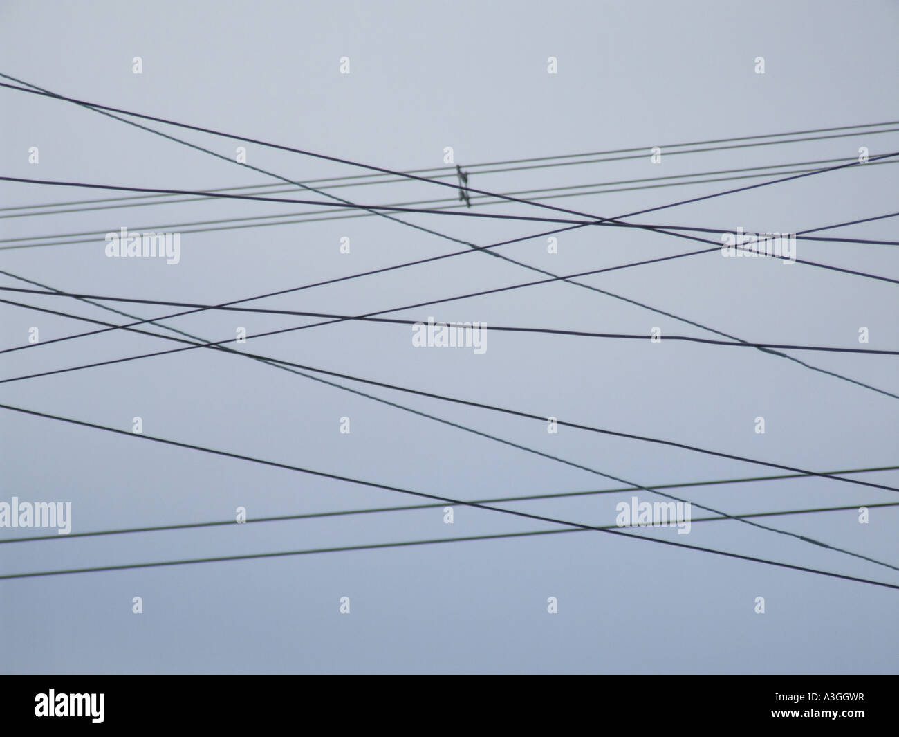 electricity power and phone lines Stock Photo - Alamy