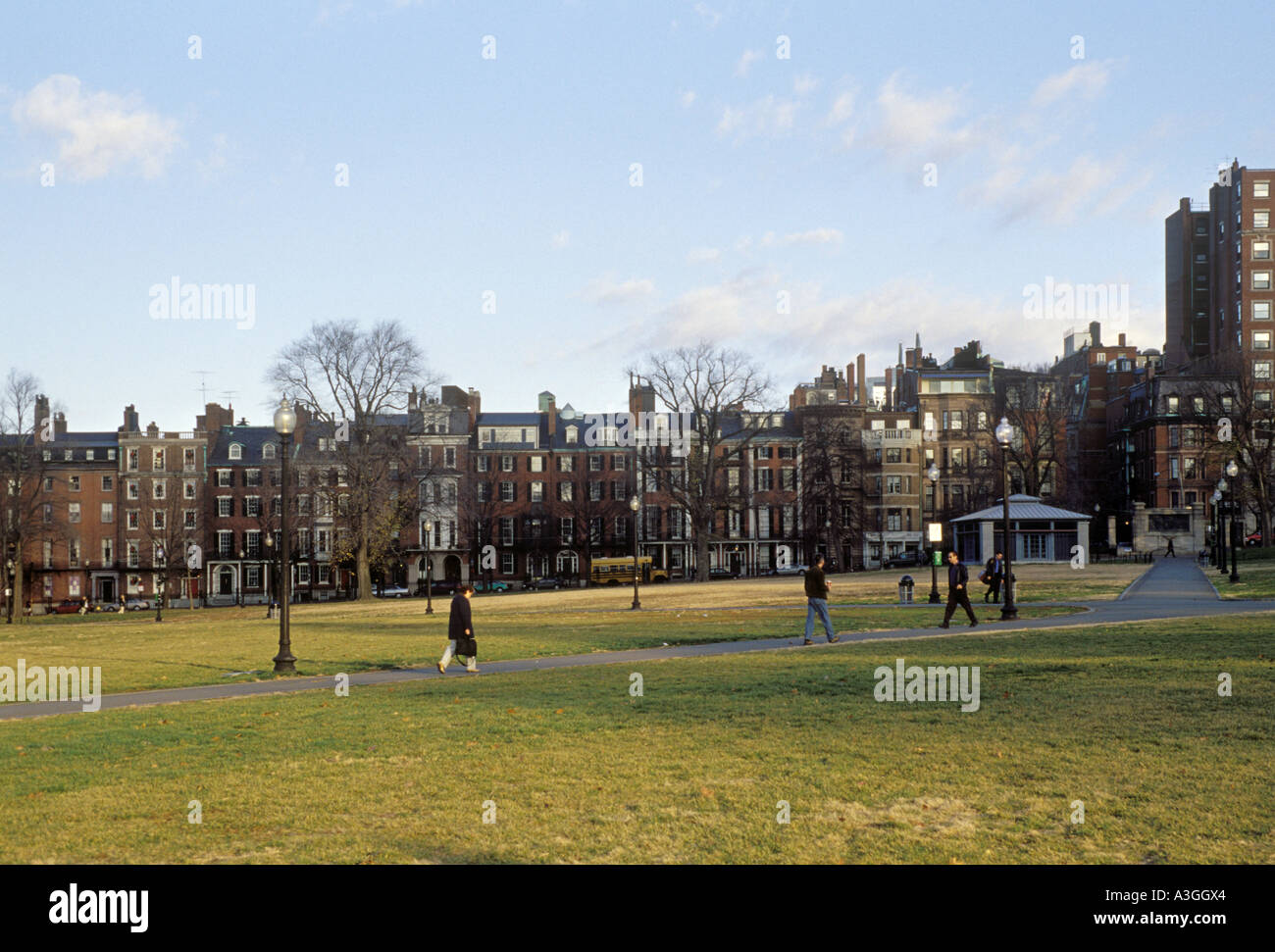 Common american eagles hi-res stock photography and images - Alamy