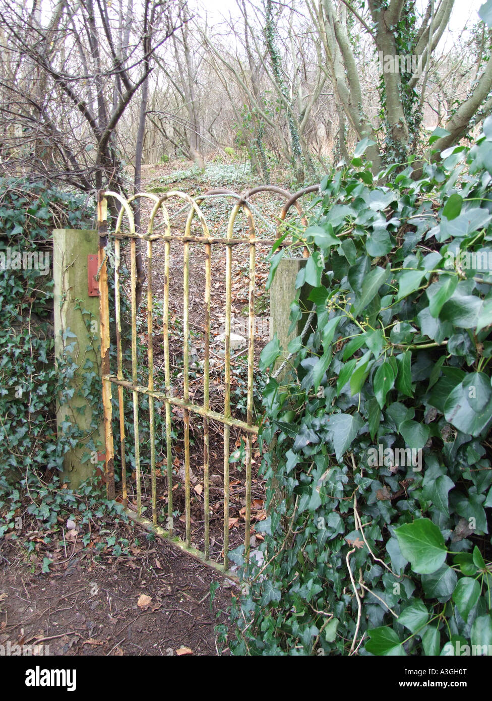 one rusty garden gate Stock Photo - Alamy