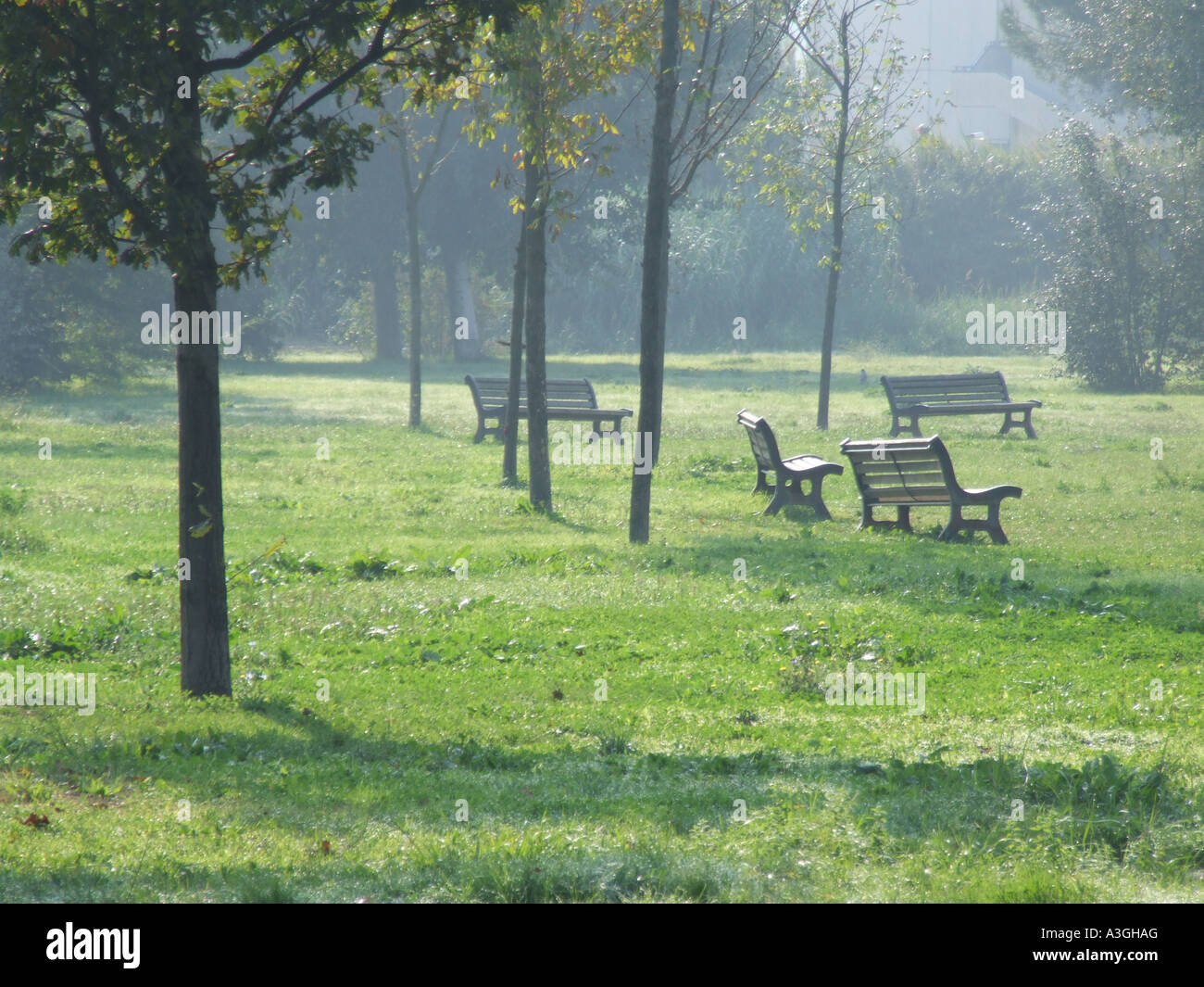 lots of benches in park in morning sun Stock Photo - Alamy