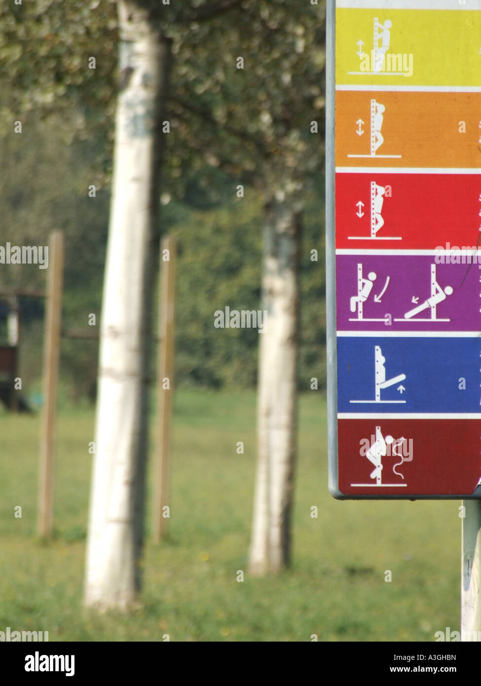 Step ups exercise man hi-res stock photography and images - Alamy