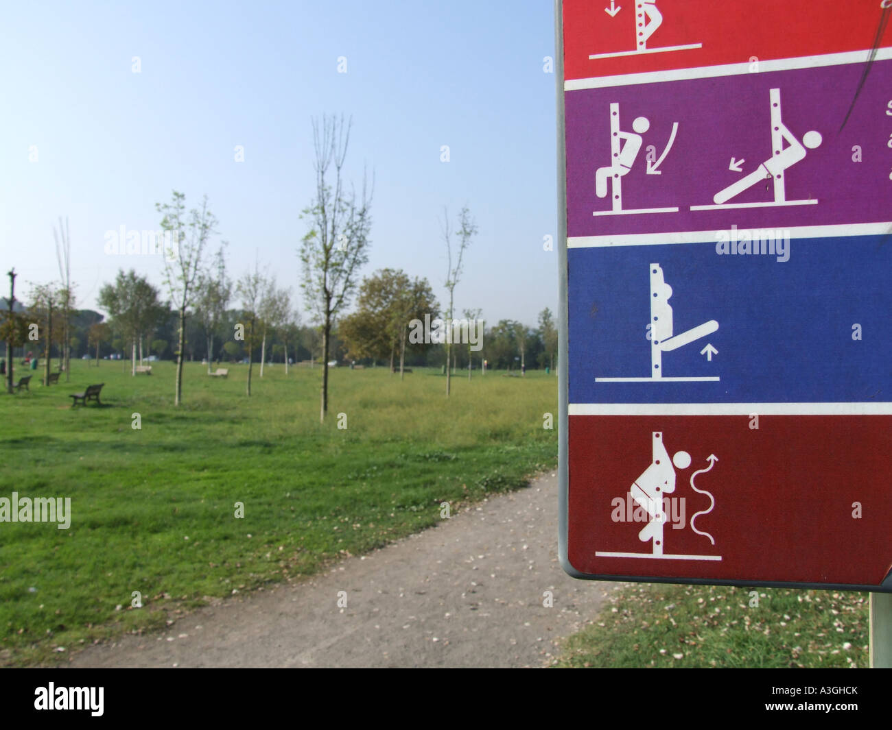 Step ups fitness exercise hi-res stock photography and images - Alamy