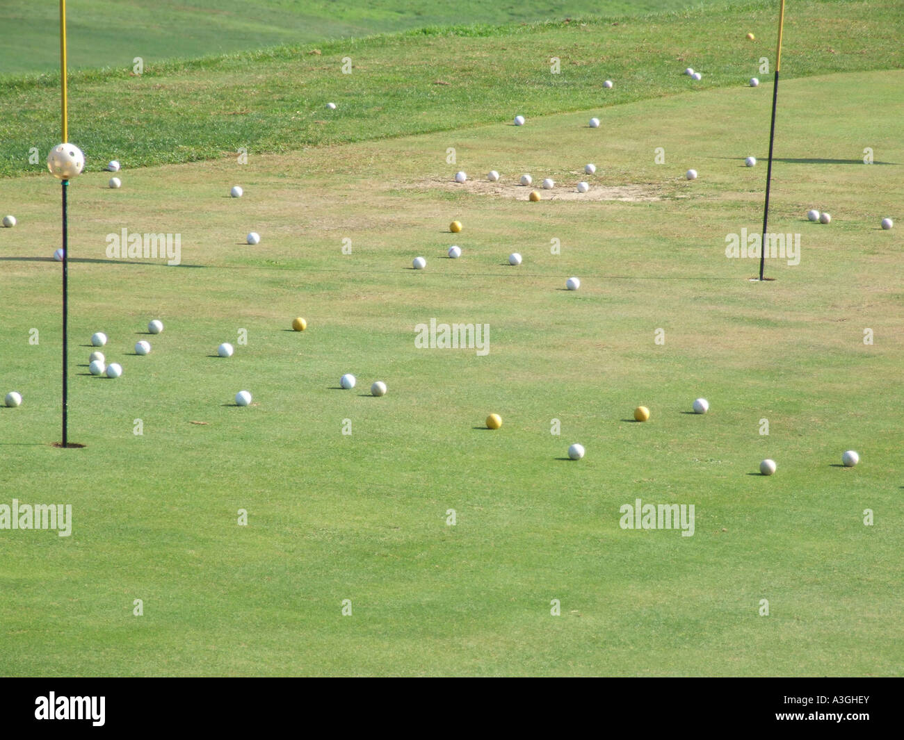 Lots Of Golf Balls High Resolution Stock Photography and Images - Alamy