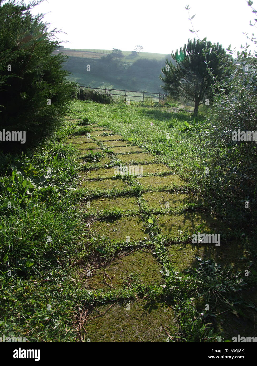 foot path in countryside Stock Photo - Alamy