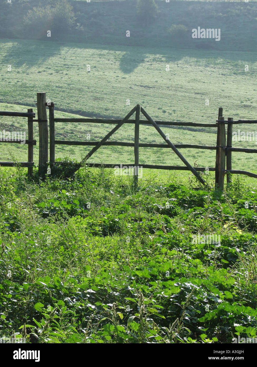 one wooden gate in countryside Stock Photo - Alamy