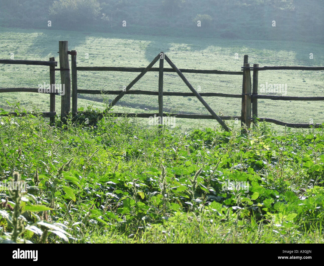 one wooden gate in countryside Stock Photo - Alamy