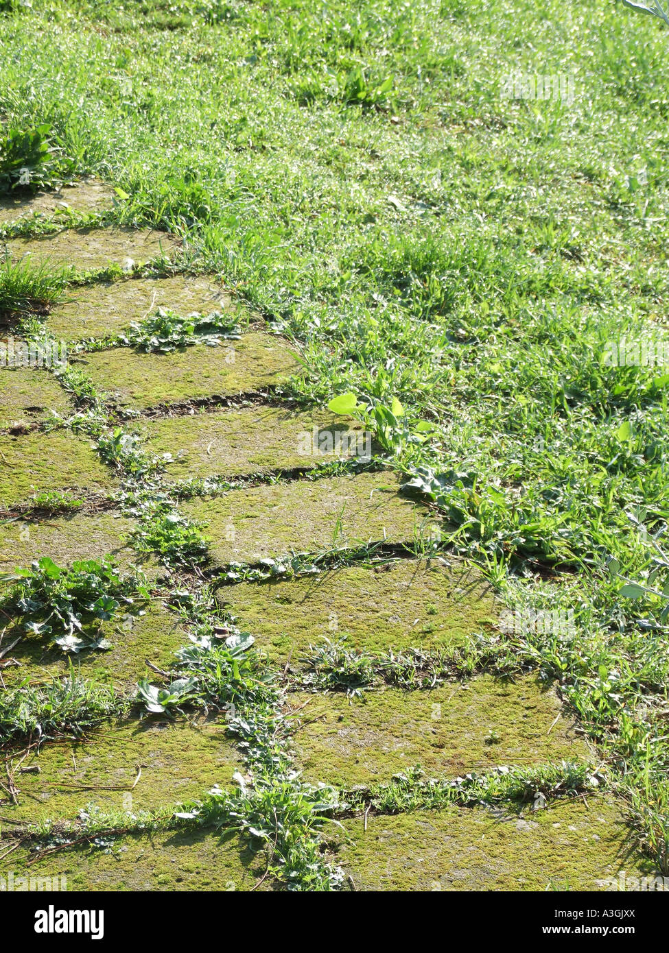 foot path in countryside Stock Photo - Alamy