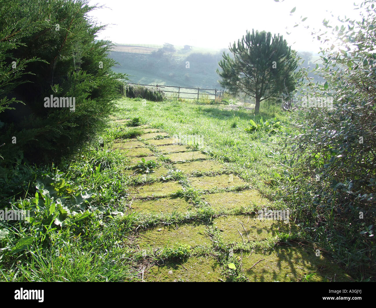 foot path in countryside Stock Photo - Alamy