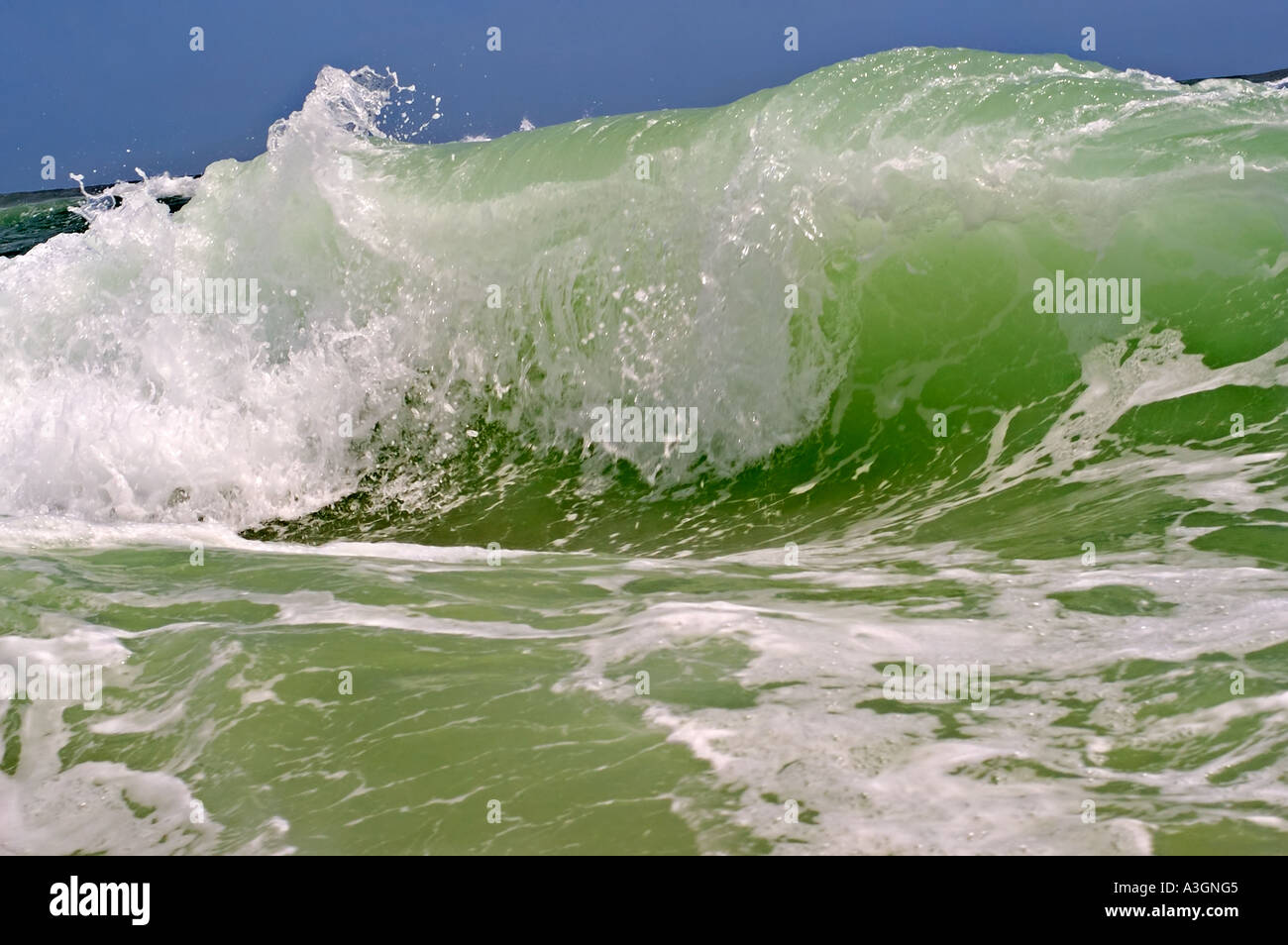 Green ocean wave Stock Photo - Alamy