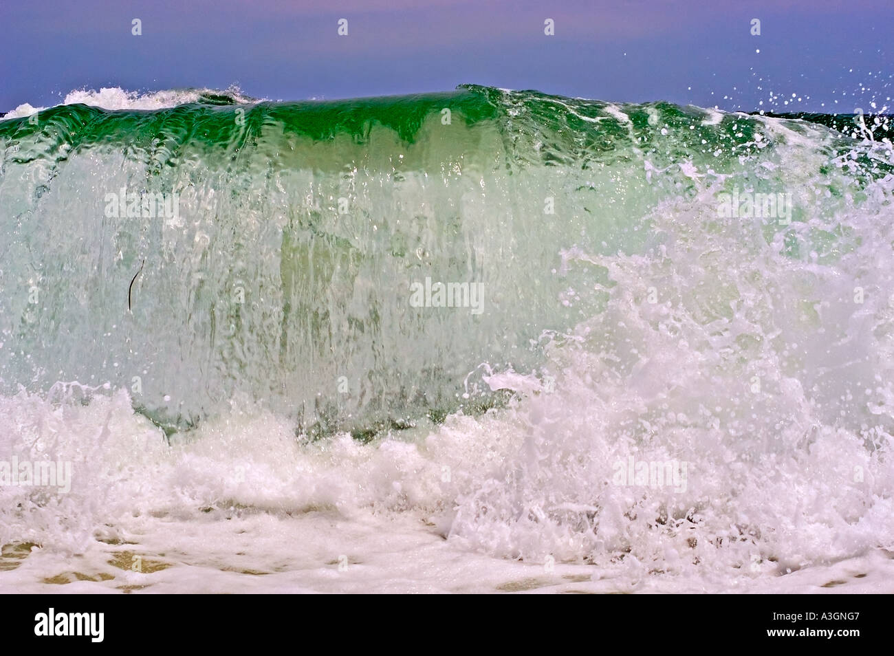 Green ocean wave Stock Photo - Alamy