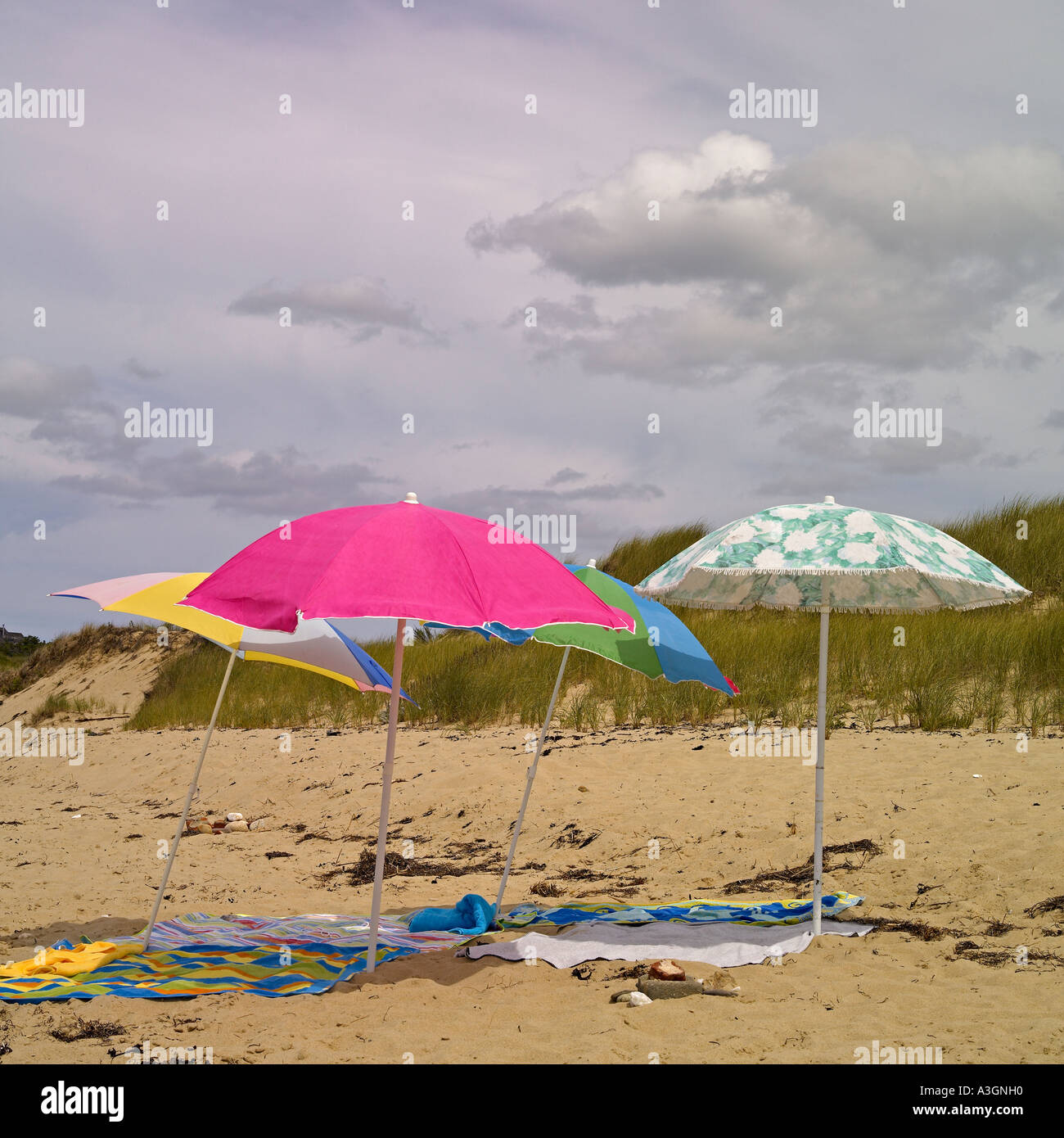 Multi-colored umbrellas on a beach Stock Photo - Alamy