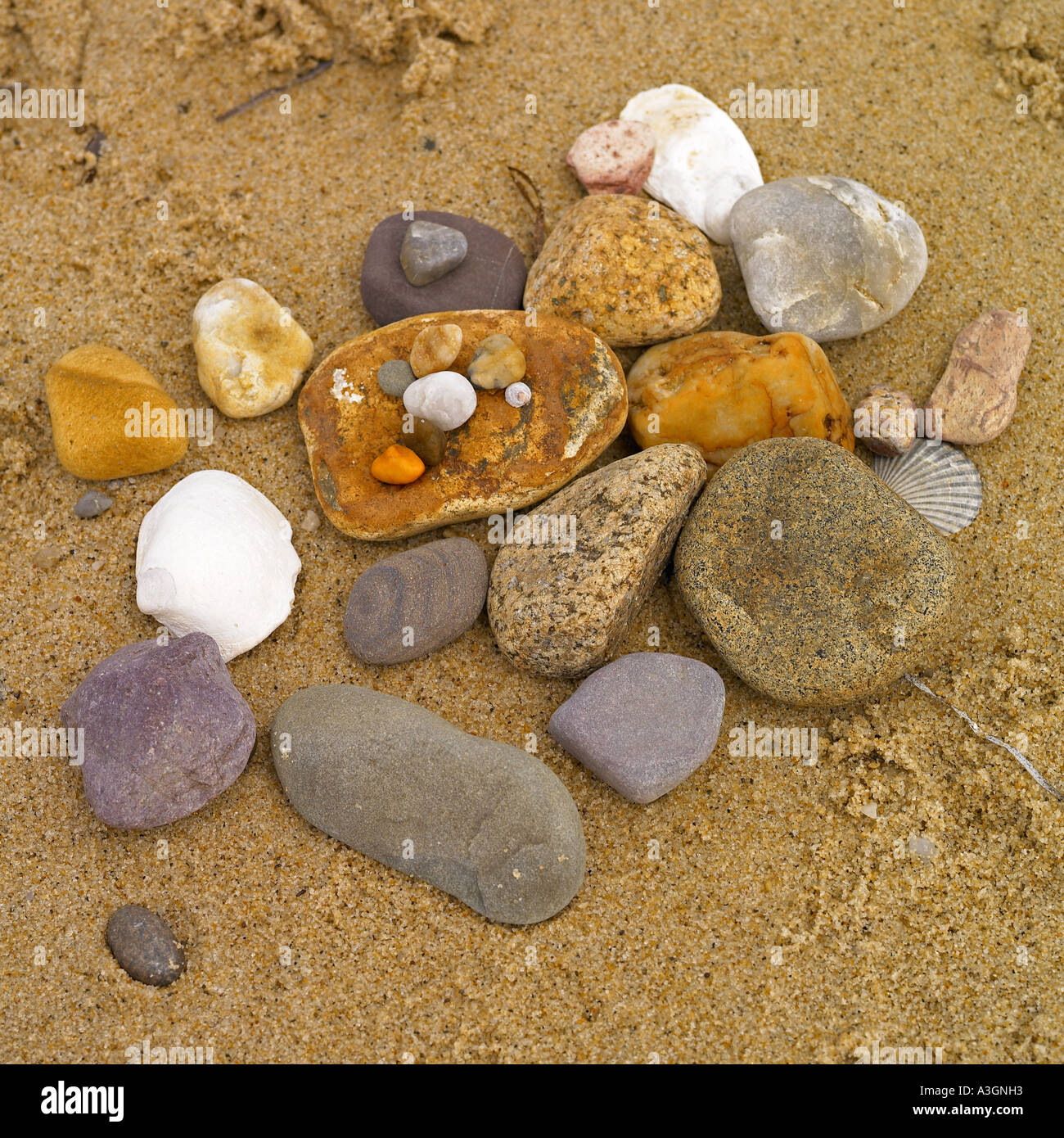 A still life with stones and shells Stock Photo - Alamy