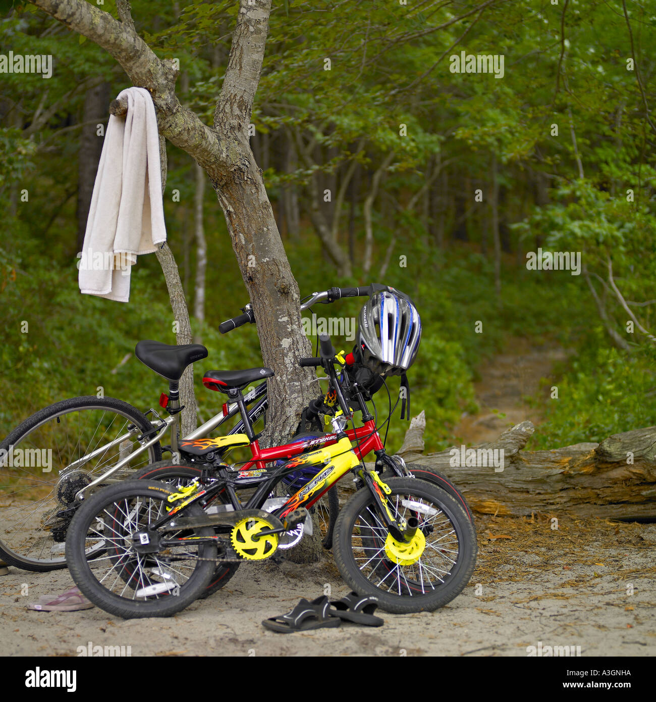 Kids nature trail bikes hi-res stock photography and images - Alamy