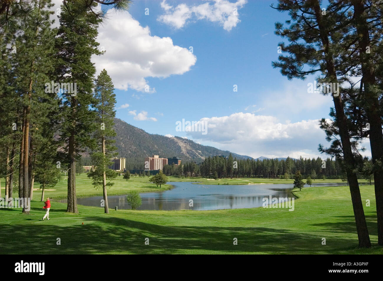 Edgewood tahoe golf course hi-res stock photography and images - Alamy
