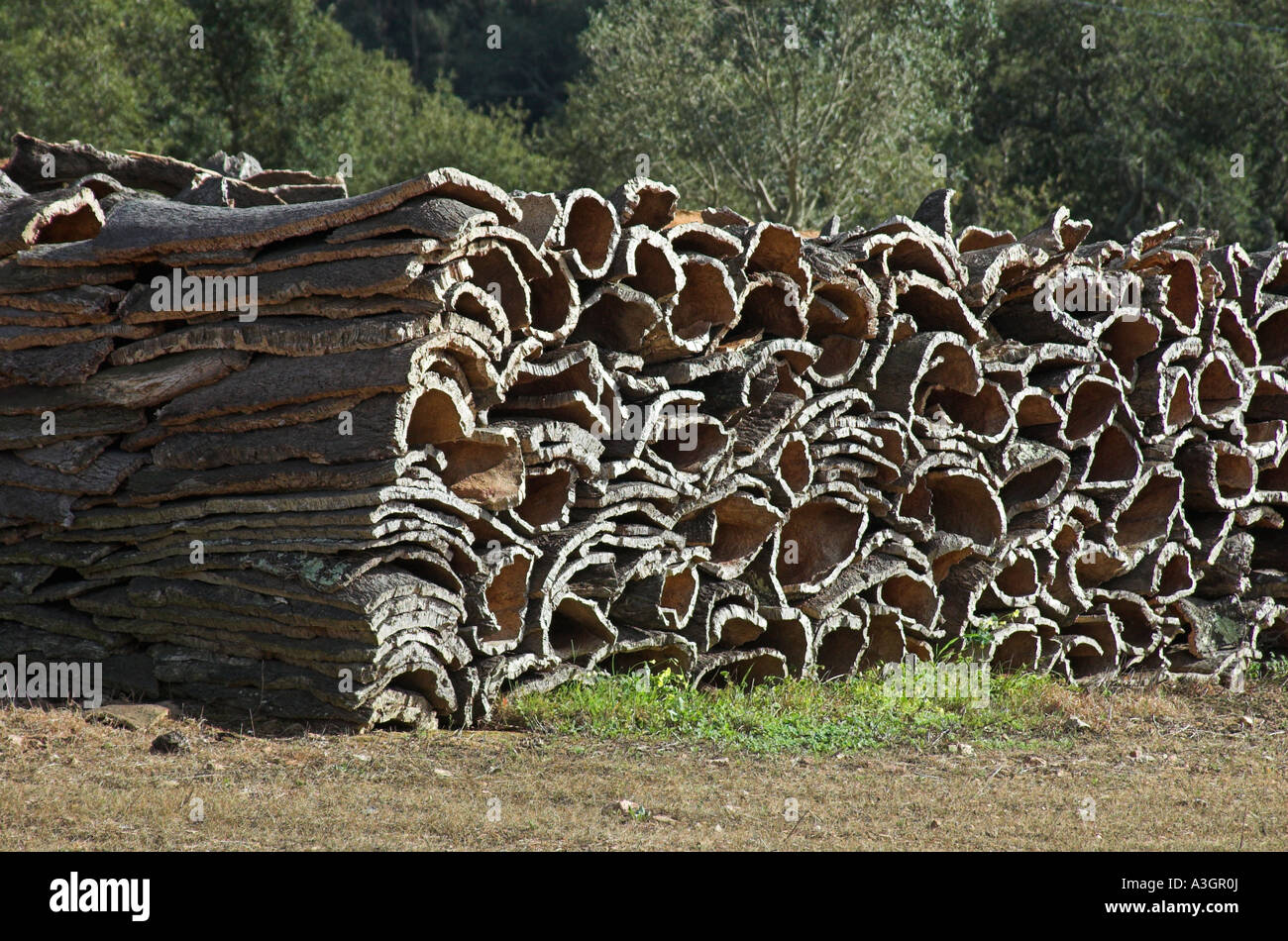 Cork layer hi-res stock photography and images - Alamy