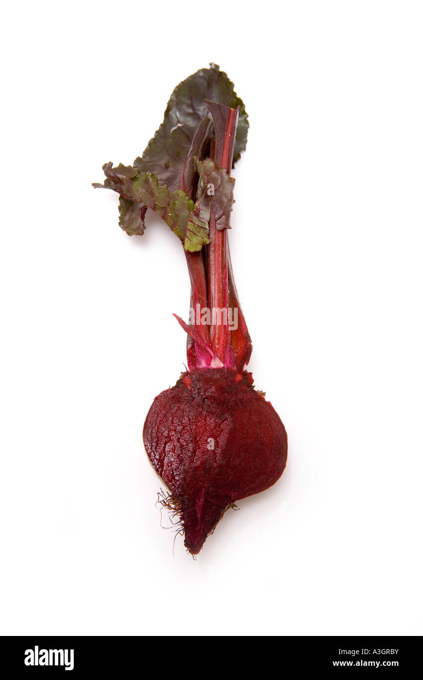 Beetroot or beets isolated on a white studio background Stock Photo - Alamy
