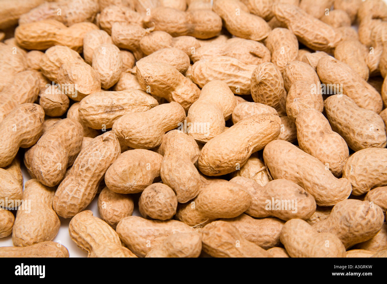 Monkey nuts or ground nuts Stock Photo - Alamy