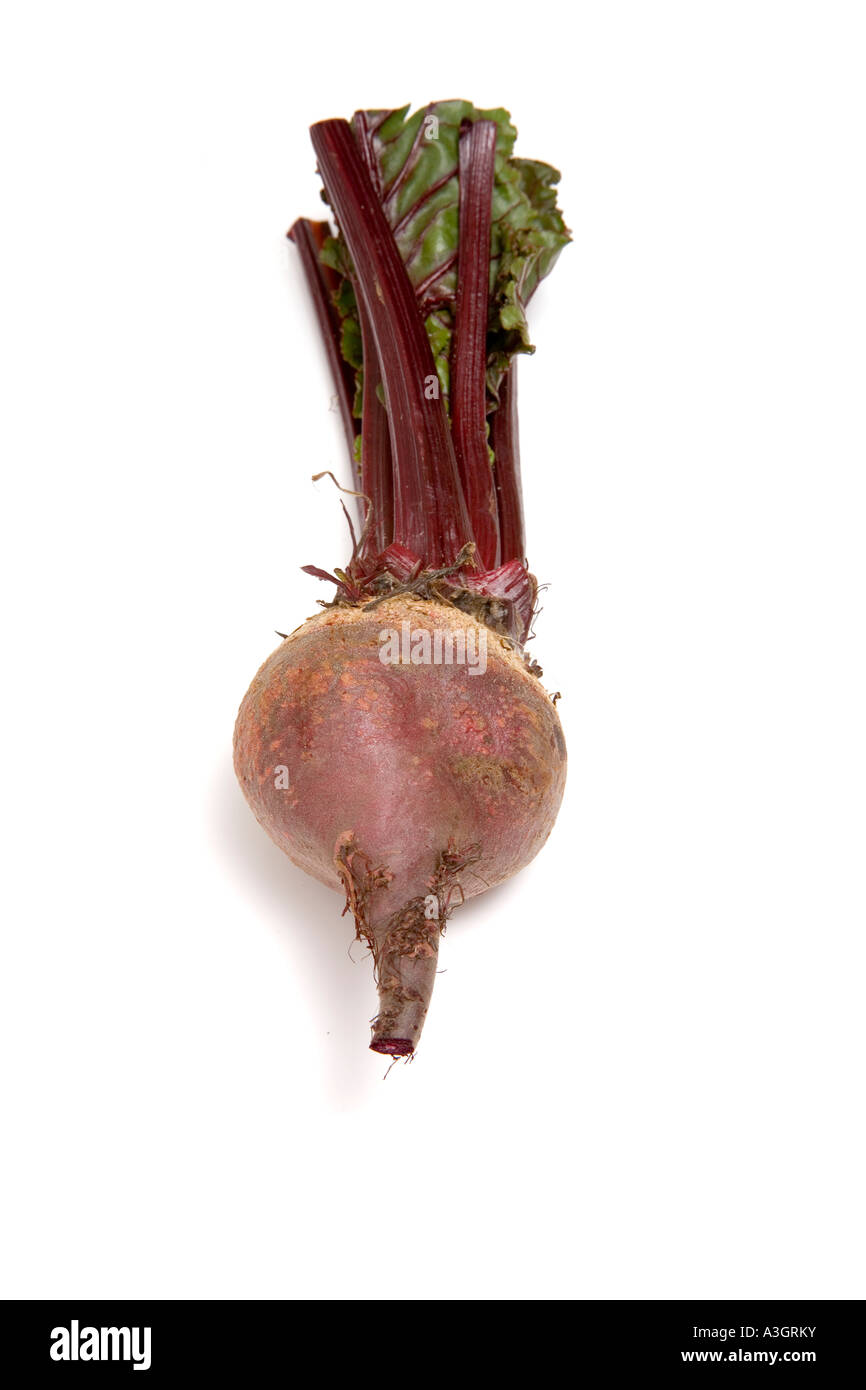 Beet isolated on a white studio background Stock Photo - Alamy