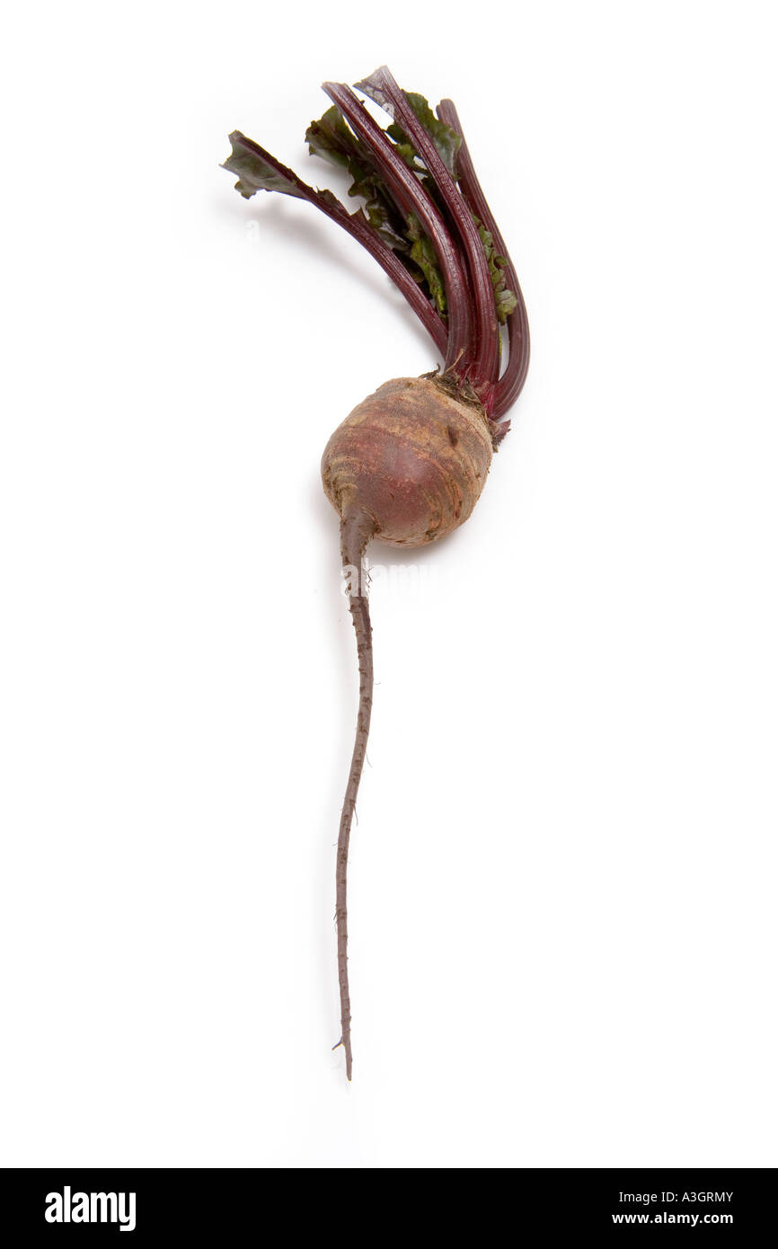Beetroot or beets isolated on a white studio background Stock Photo - Alamy