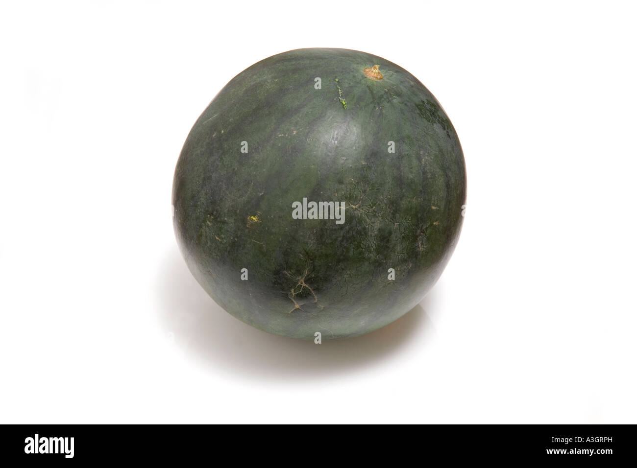 Watermelon whole isolated on a white studio background Stock Photo - Alamy