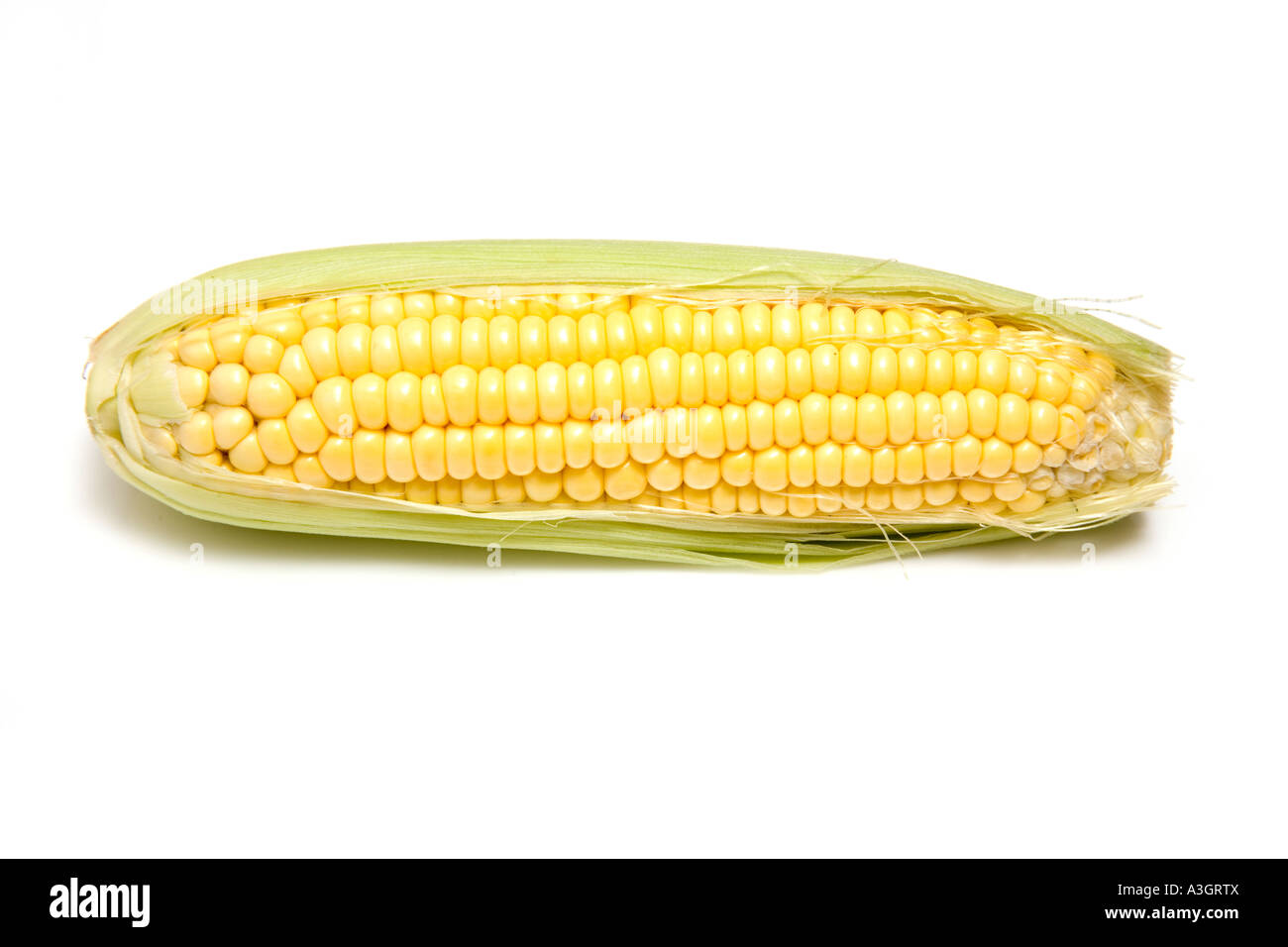 Sweet-corn on corn on the cob isolated on a white studio background ...