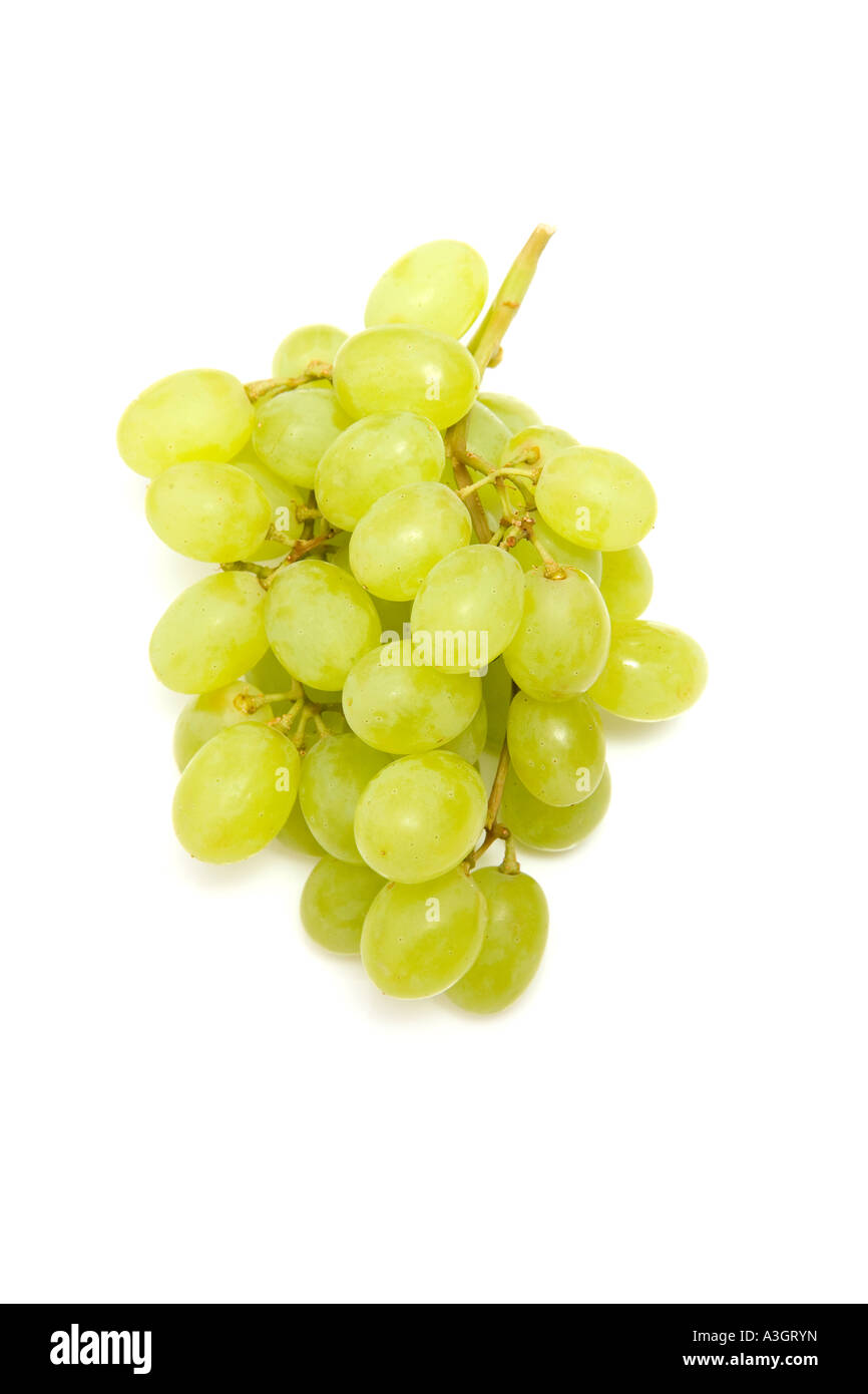 White seedless grapes isolated on a white studio background Stock Photo ...