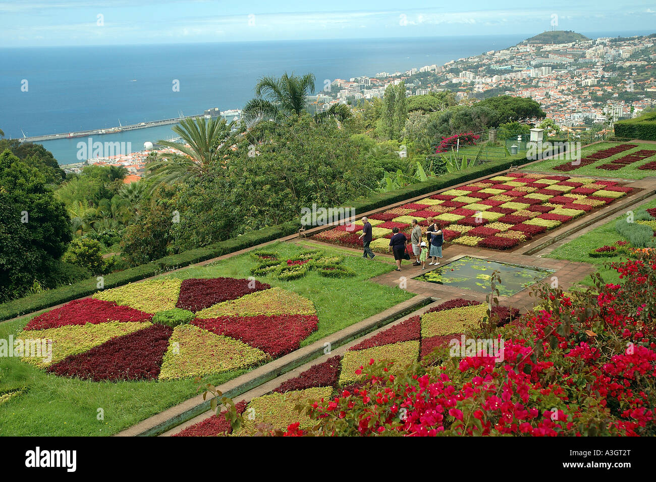 Funchal, Botanical Garden Stock Photo - Alamy