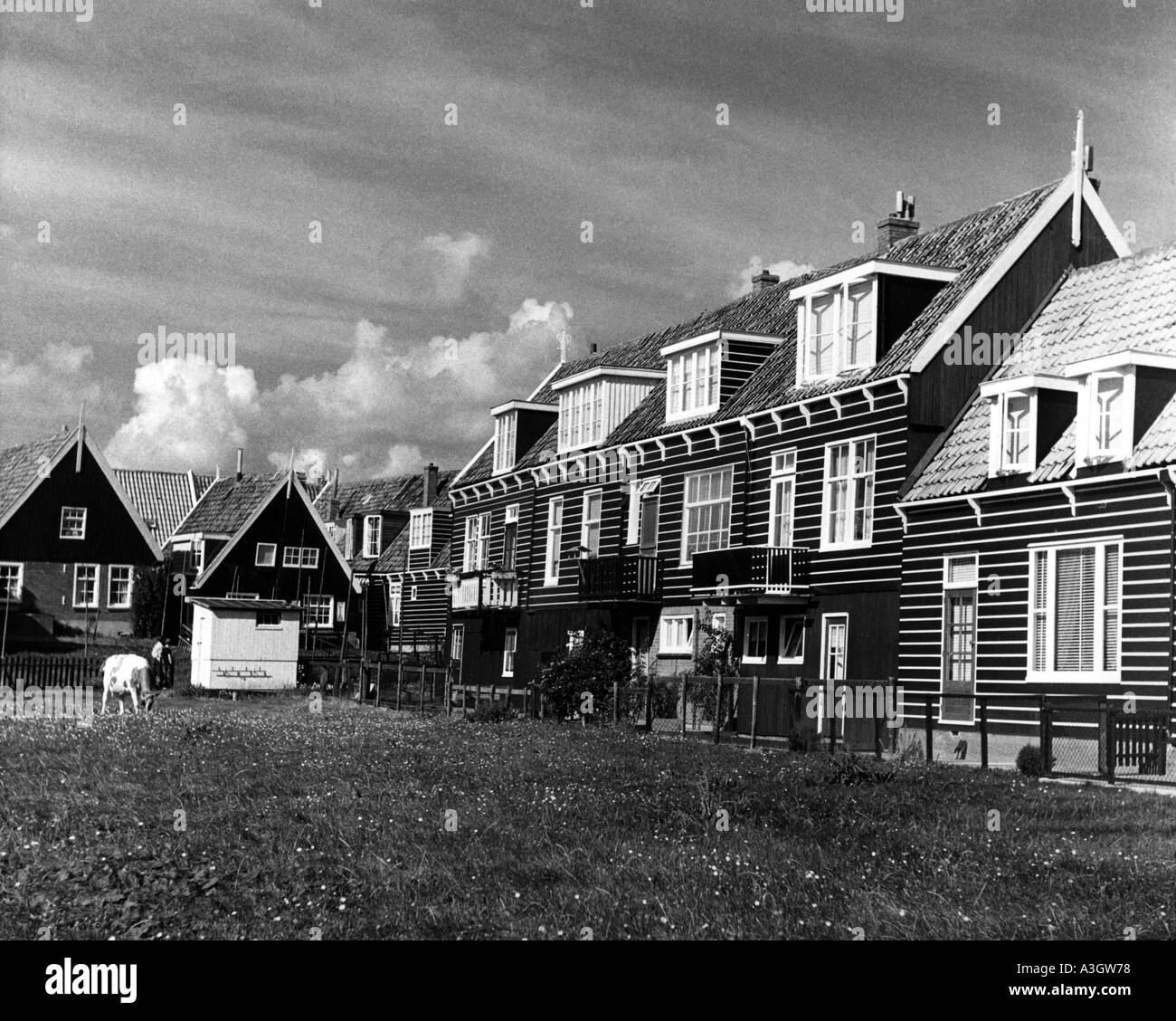 Old houses on the reclaimed island of Marken in the Zider Zee in north ...