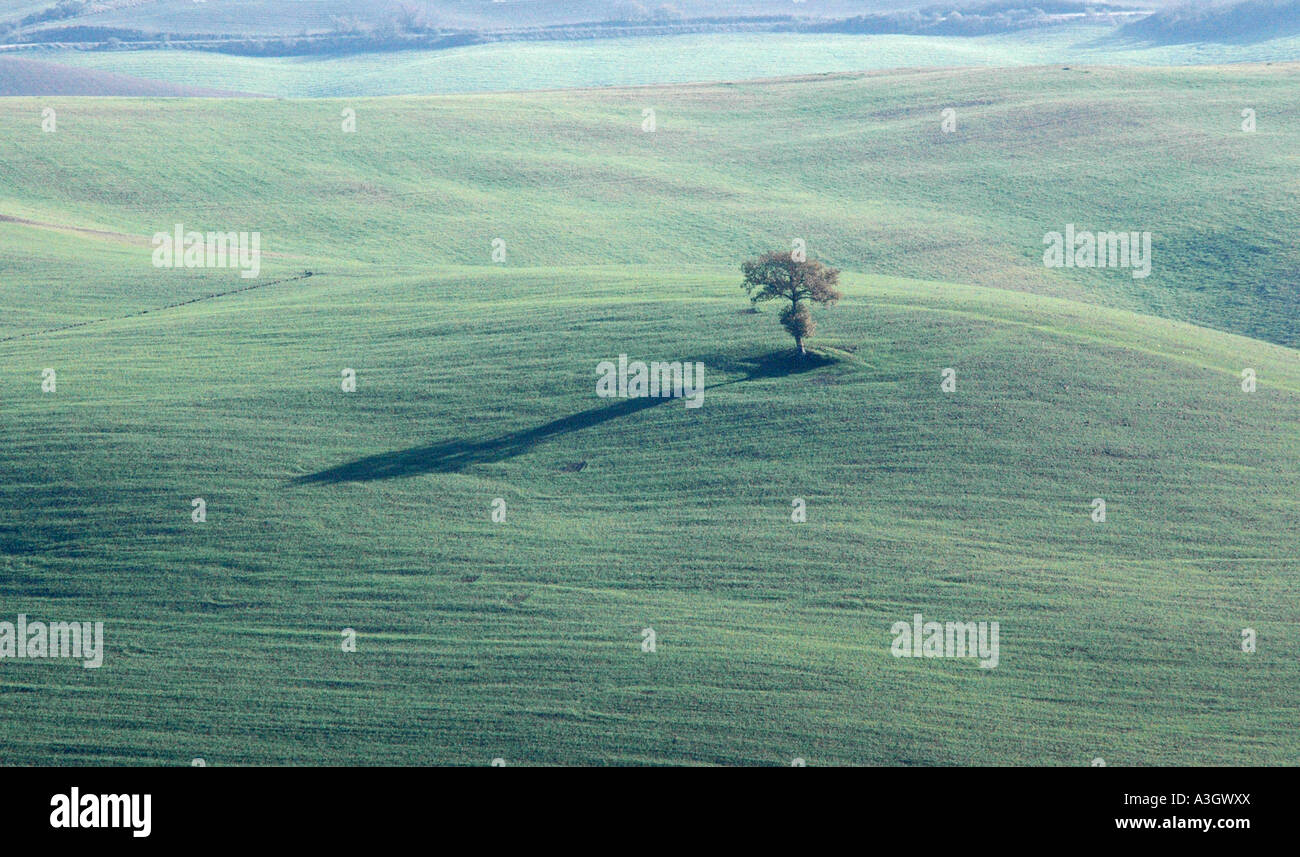 Field lone tree hi-res stock photography and images - Alamy