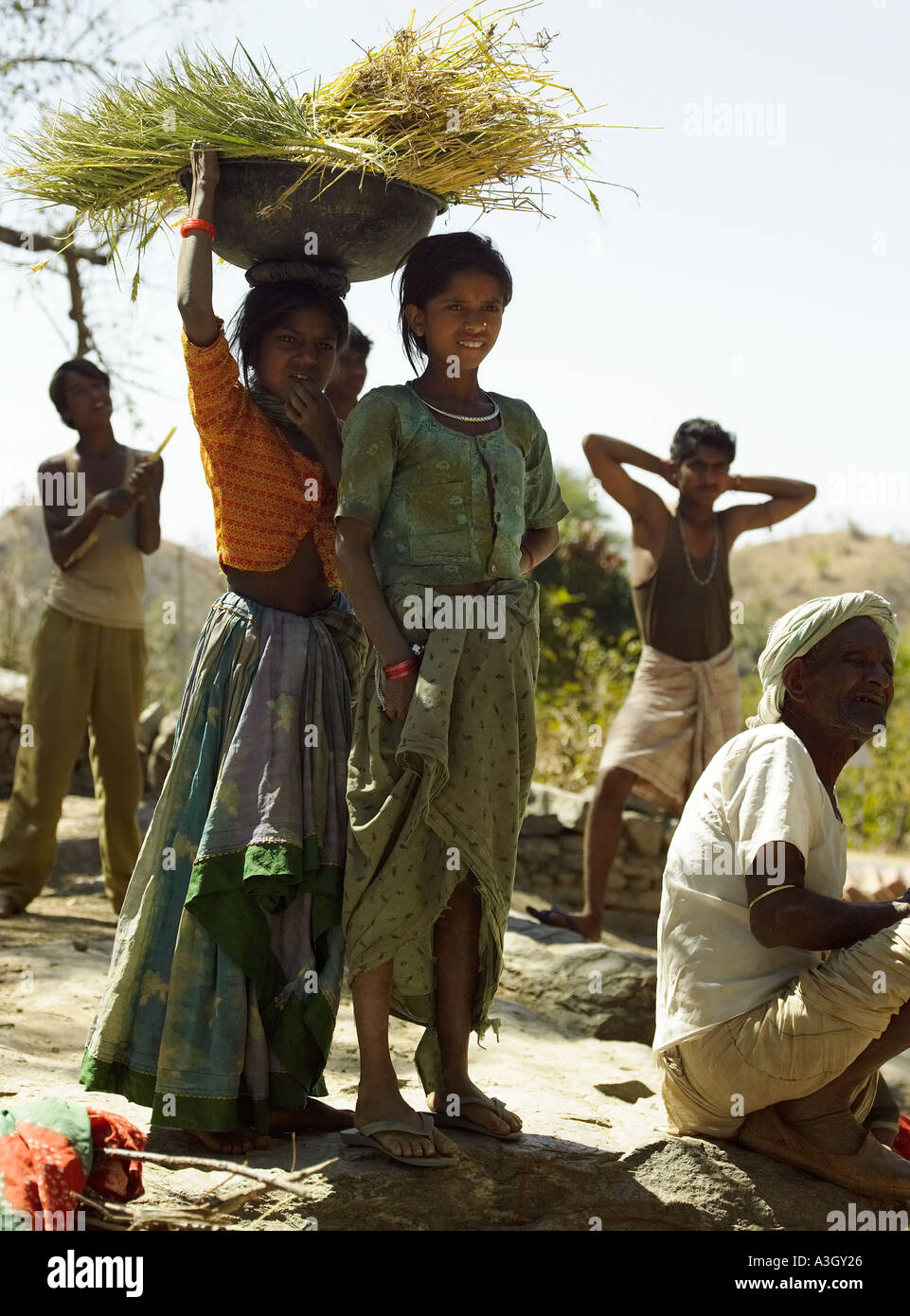 Young girls working in the fields in Rajasthan, India Stock Photo - Alamy