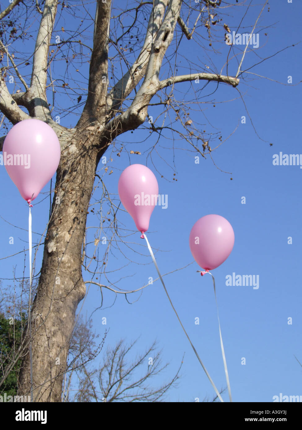 three pink balloons and blue sky Stock Photo - Alamy