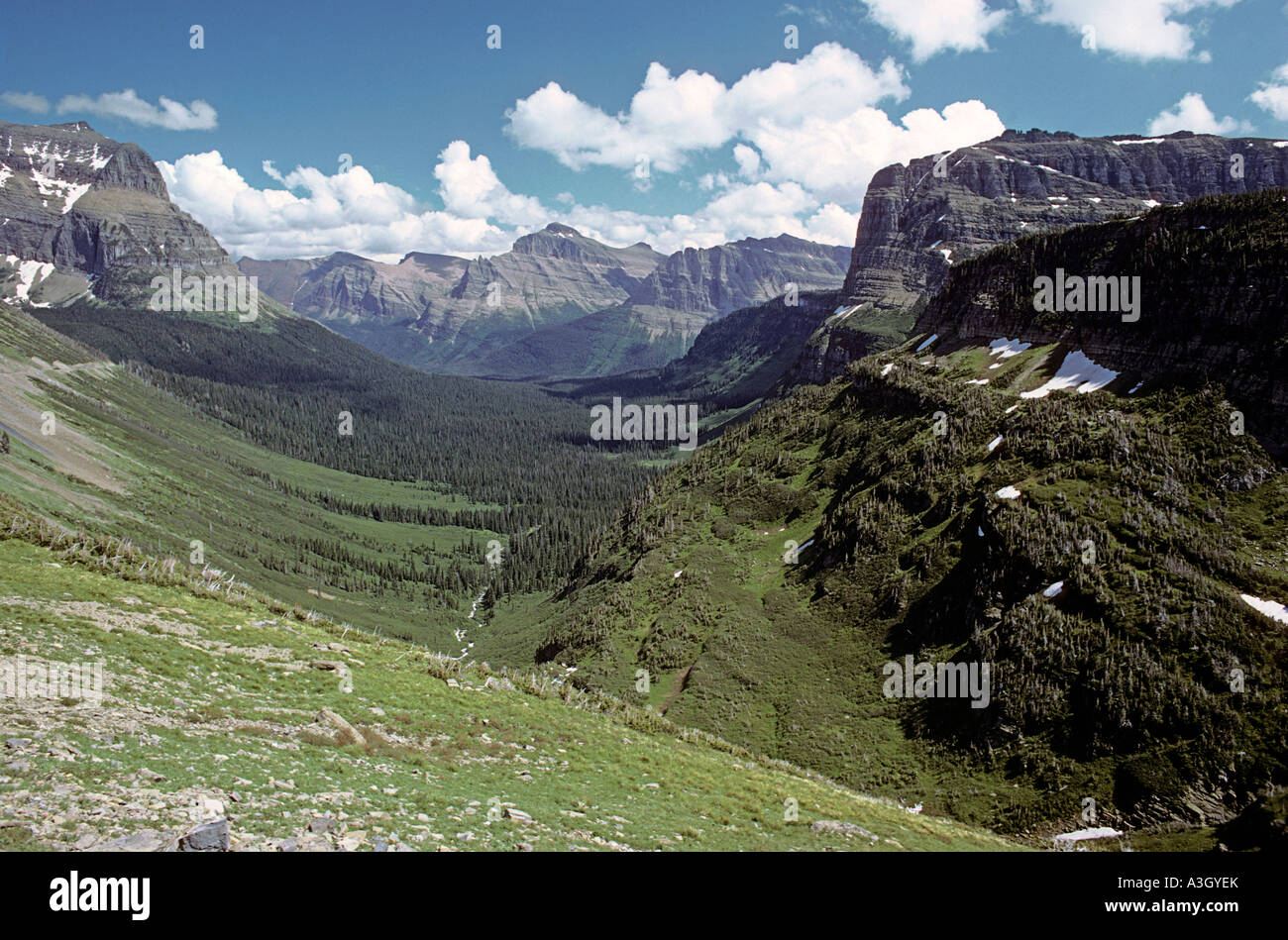 Valley Glacier Example