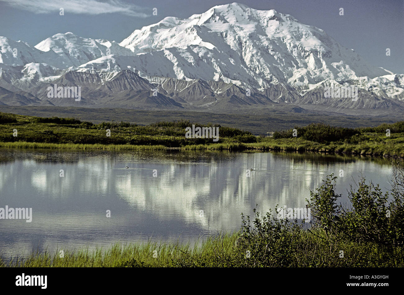 Mt McKinley Denali National Park Alaska Stock Photo - Alamy